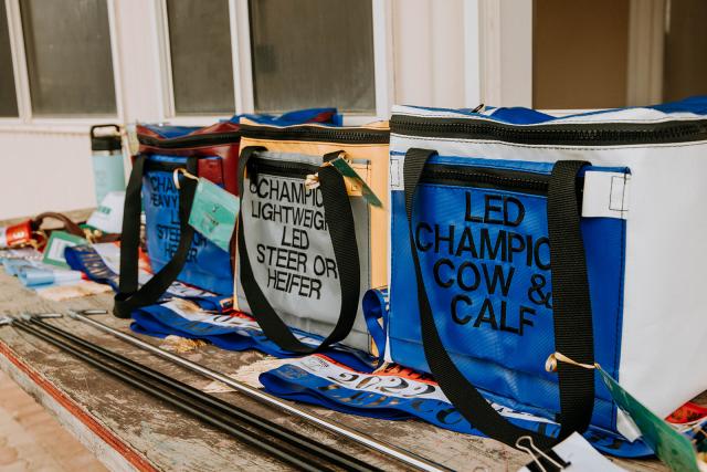 Winton Show received with flying colours | Leader Today