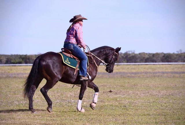 Isisford Horse Sports | Leader Today