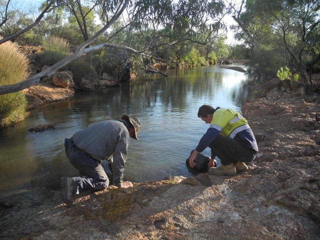 Setting the record straight | Leader Today