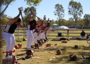 Alpha Show on its way | Leader Today