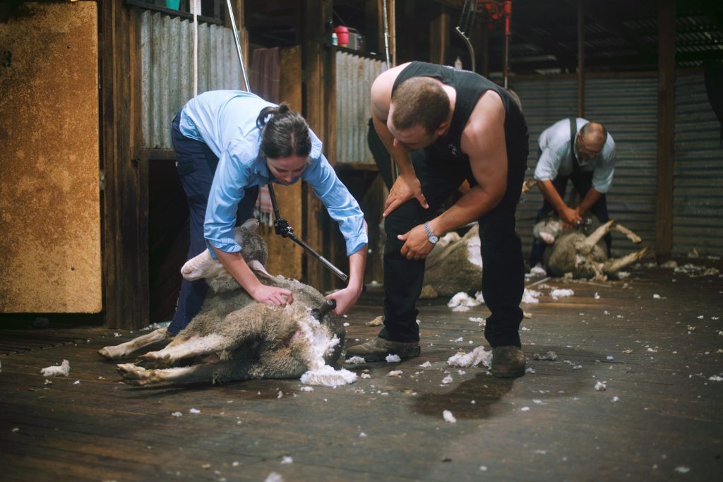 AWI Graduate Training Program 2024 | Leader Today