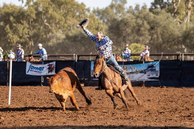 The comet campdraft battle | Leader Today