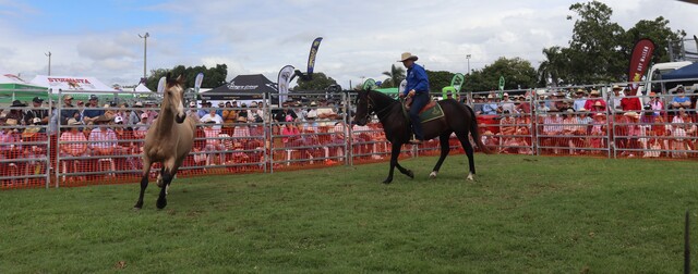 A passion for the saddle | Leader Today