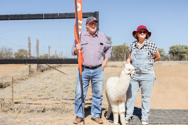 Fluffy fun at Barcaldine | Leader Today