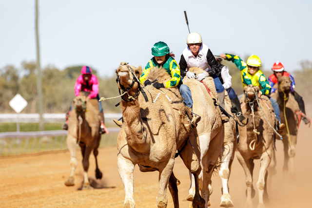Celebrating camels in the outback | Leader Today